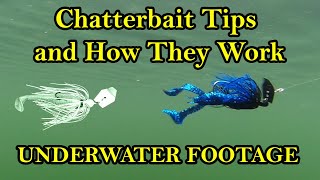 What Should You Throw for Bass Around Docks After Rain?