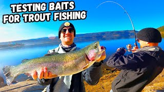 How to Find Trout in a Lake?