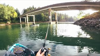 What fish species live in St. Andrew Bay waters?