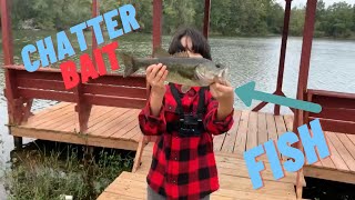 What fish can you catch in Savannah, Georgia?