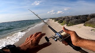 What Is the Best Bait for Medium Bluefish?