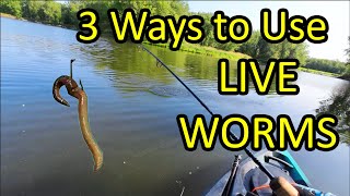 What Is the Best Bait for Squid?