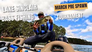 Where do largemouth bass set up on Lake Sinclair?