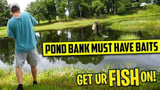 Will this bright lure catch pond bass?